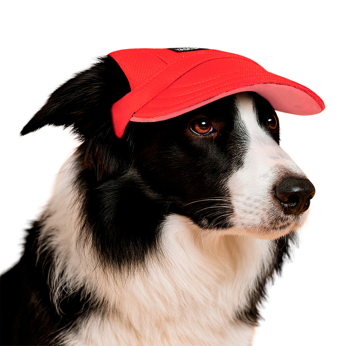 Gorro Para Mascotas con Visera y Correa Ajustable, Talle XL - Rojo ...